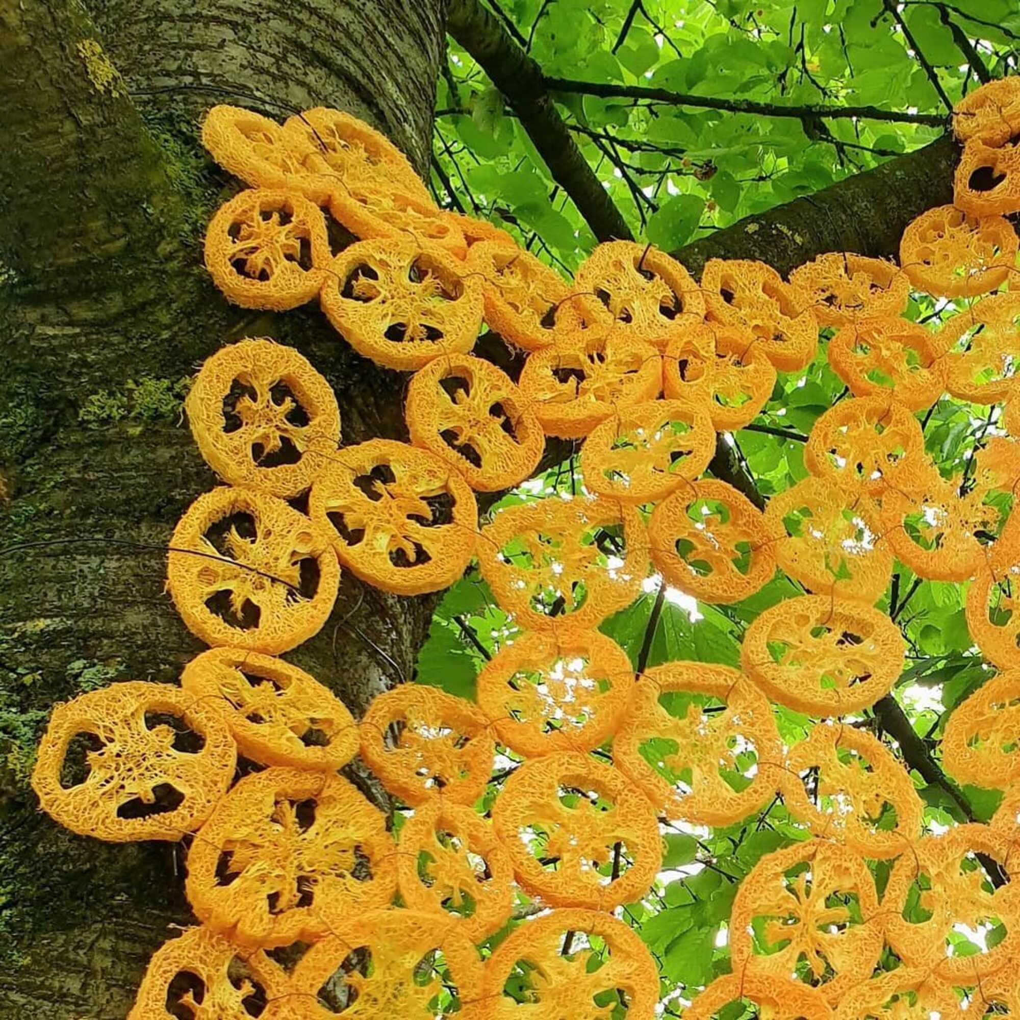 Open Connection | Sculpture Network