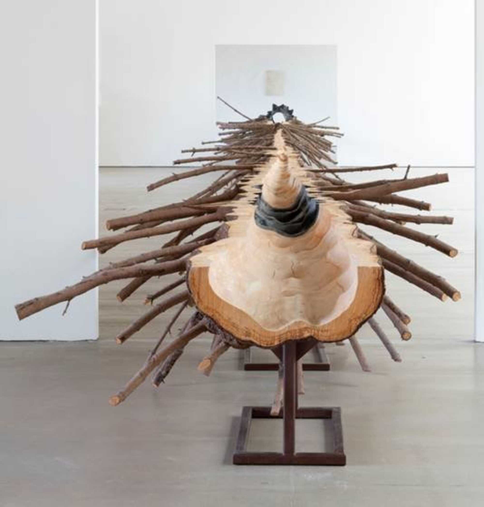 Giuseppe Penone: A Tree in the Wood | Sculpture Network