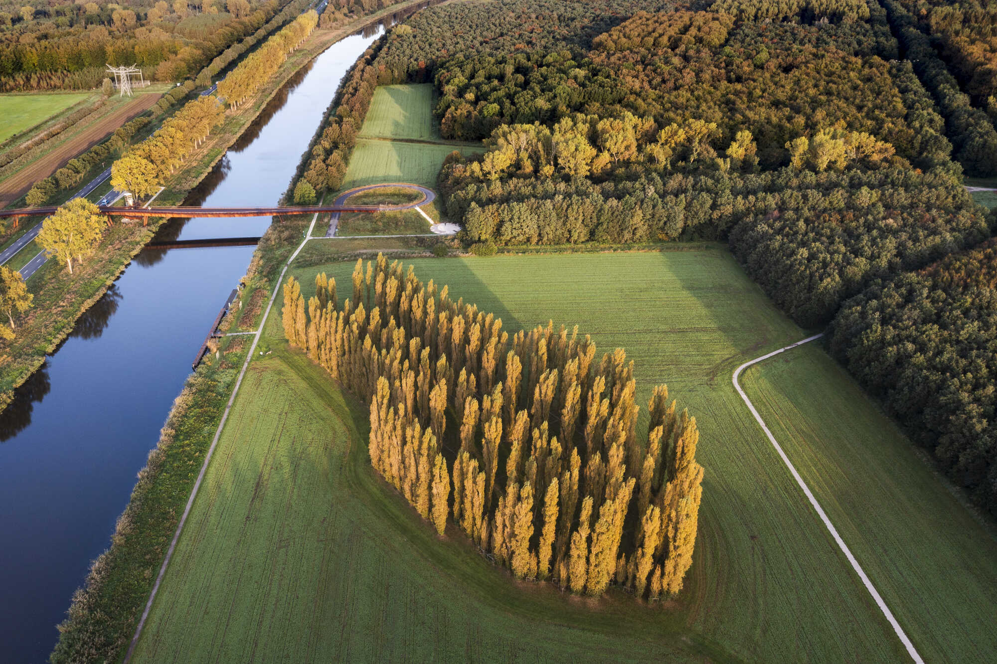 Marinus Boezem, Green Cathedral, 1978 – 1987, Almere, NL. Photo Jordi ...