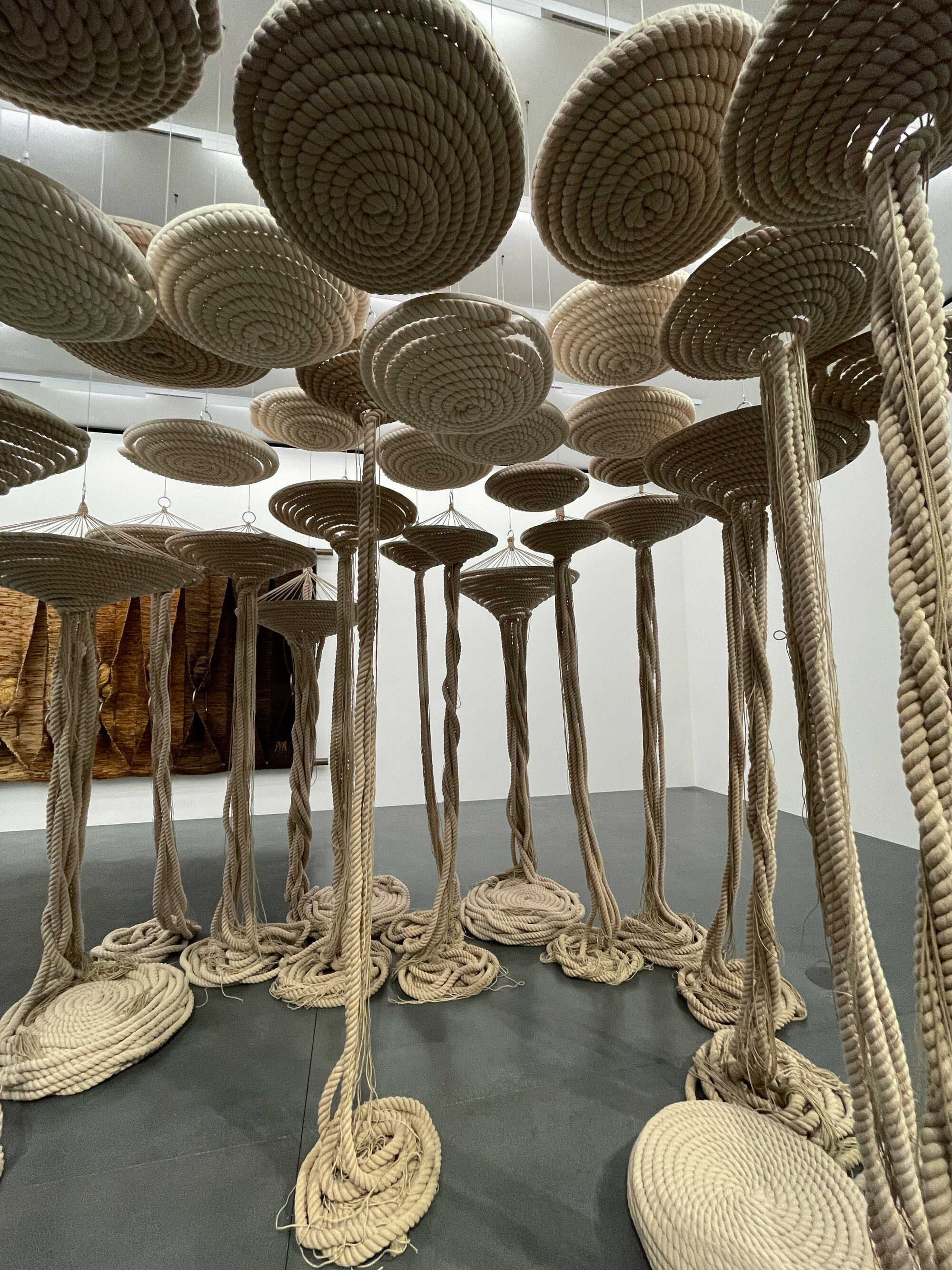 Flowing Forms of Ropes, Fabrics, and Threads – the Weaver Tapta ...