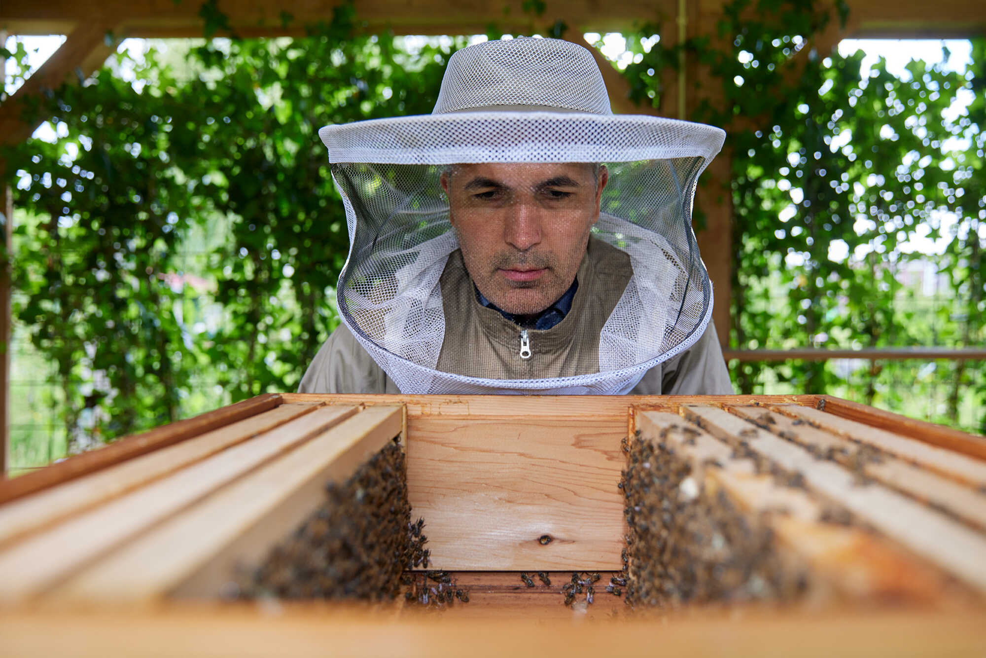 Tomáš Gabzdil Libertíny: Co-creating with Bees | Sculpture Network